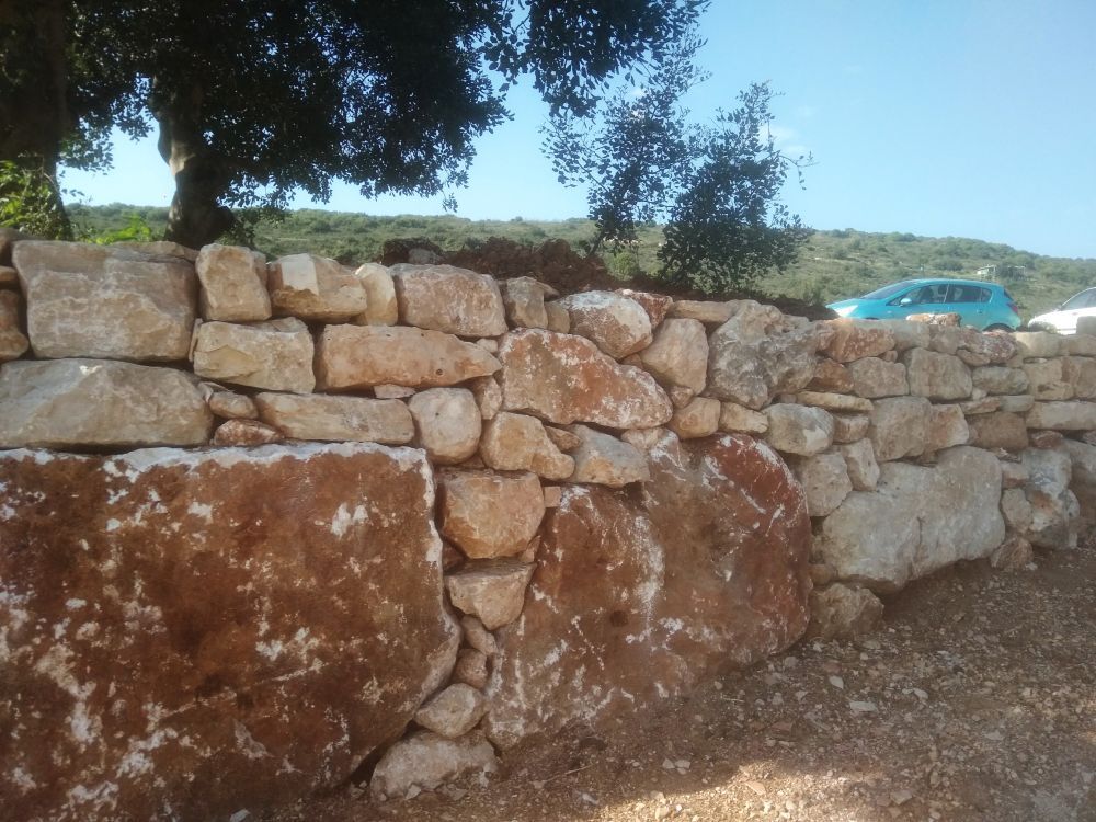 טרסות | יובל מילר - תכנון והקמת גינות