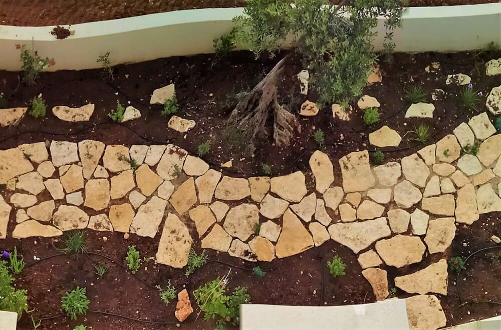 שבילים ורחבות | יובל מילר - תכנון והקמת גינות